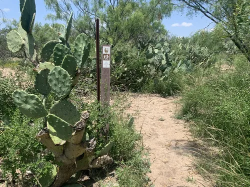 2023 Best River Trails in Del Rio | AllTrails