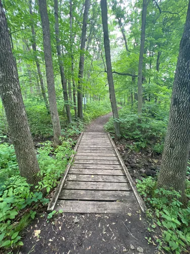 Best Hikes and Trails in Rice Lake State Park | AllTrails