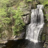 Bushkill Falls Red Trail, Pennsylvania - 574 Reviews, Map | AllTrails