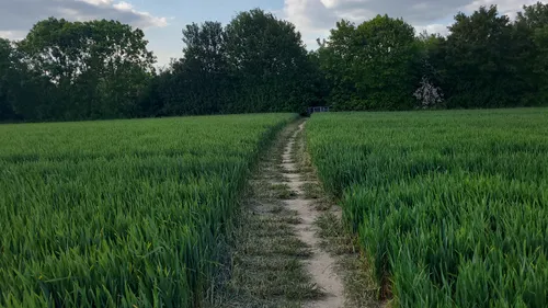 Best Hikes and Trails in Redbourn Common | AllTrails