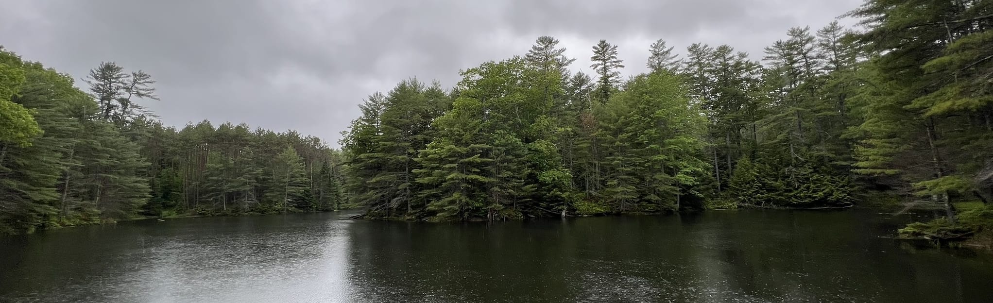 Old Farm Road Trail: 62 Reviews, Map - Maine | AllTrails