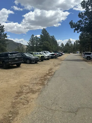 Best Hikes and Trails in Hualapai Mountain Park | AllTrails