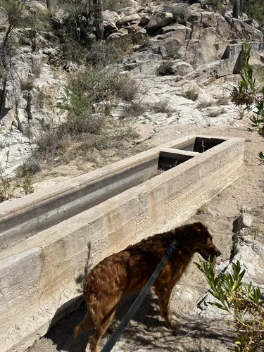 Best Hikes and Trails in Honey Bee Canyon Park | AllTrails