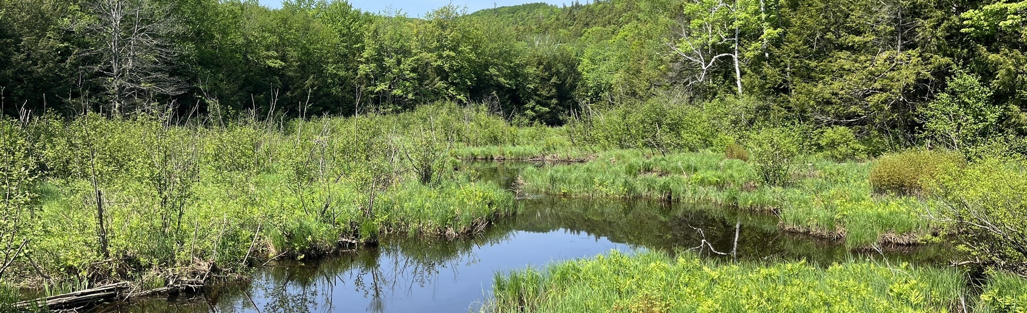 Lake of the Clouds: 888 foto's - Michigan | Wandelen - AllTrails