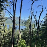 Oneonta Gorge Trail, Oregon - 658 Reviews, Map | AllTrails