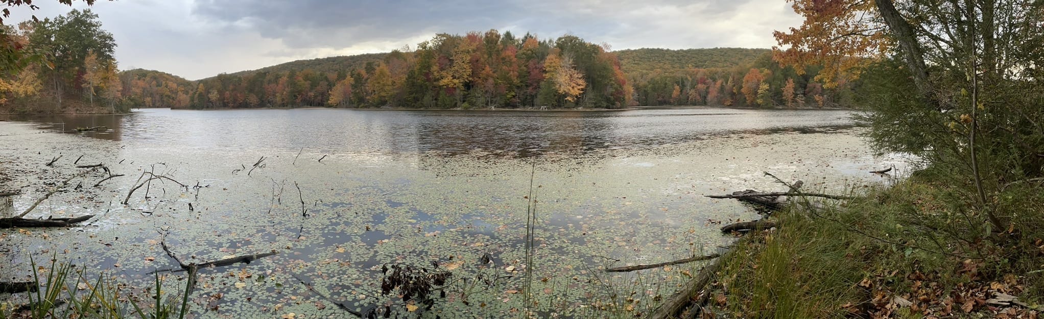 Holston River Mountain and Front Hollow Road Loop: 5 Reviews, Map ...