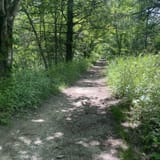 Kitsuma and Point Lookout Loop, North Carolina - 214 Reviews, Map ...