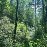 Kitsuma and Point Lookout Loop, North Carolina - 214 Reviews, Map ...