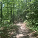 Kitsuma and Point Lookout Loop, North Carolina - 214 Reviews, Map ...