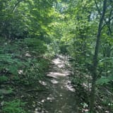 Kitsuma and Point Lookout Loop, North Carolina - 220 Reviews, Map ...