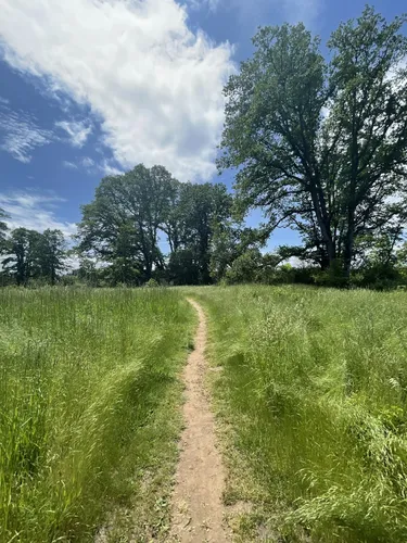 Best Hikes and Trails in Ridgefield National Wildlife Refuge | AllTrails