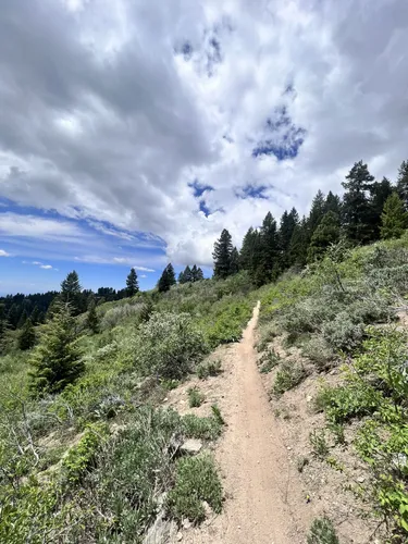 Best Off Road Driving Trails in Boise | AllTrails