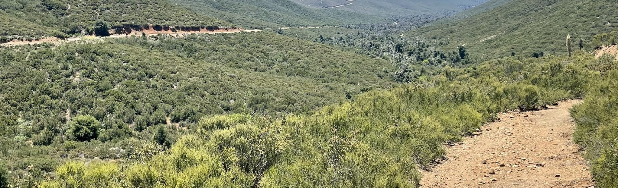 California Riding and Hiking Loop: 62 Reviews, Map - California | AllTrails