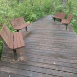 Cato's Ridge, Massachusetts - 517 Reviews, Map | AllTrails