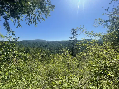 Best Hikes and Trails in Molalla River Corridor Recreation Area | AllTrails