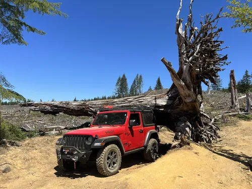 10 Best Off Road Driving Trails in Oregon | AllTrails