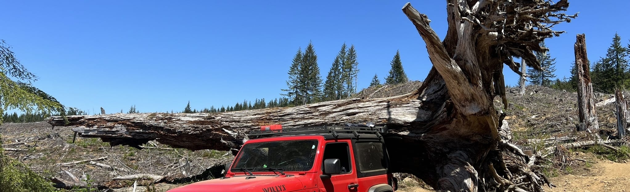 Cedar Trail and University OHV Trail, Oregon - 53 Reviews, Map | AllTrails