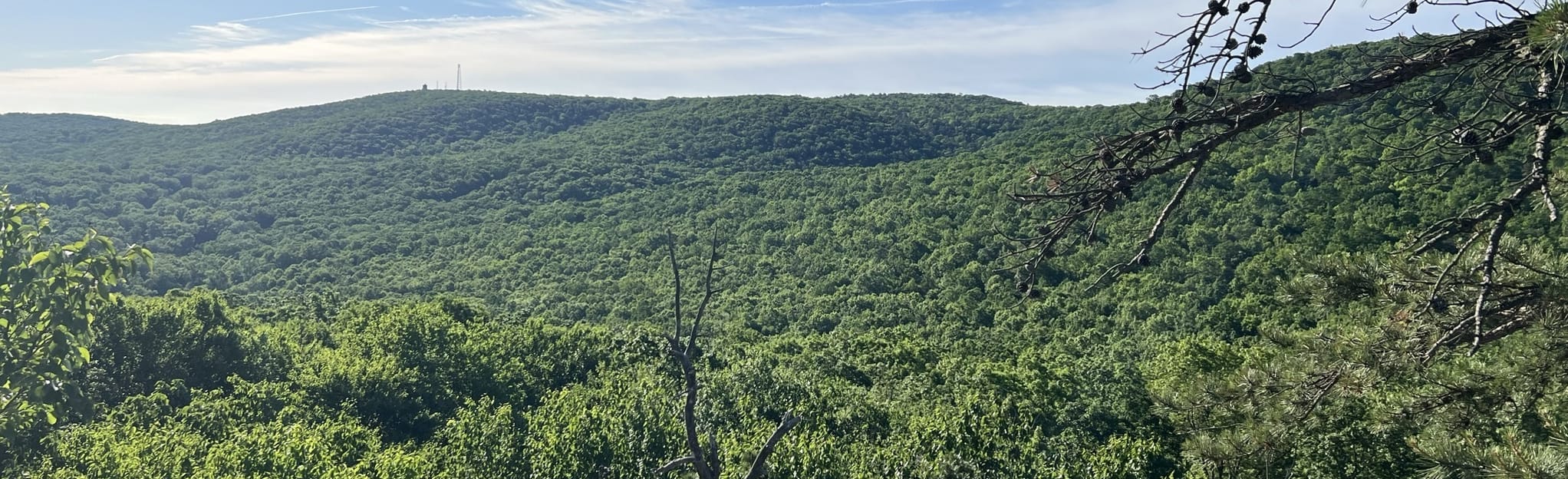 White Rocks Trail: 1364 Reviews, Map - Pennsylvania | AllTrails