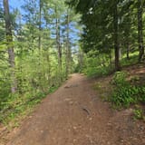 Chester Park Loop, Minnesota - 755 Reviews, Map | AllTrails
