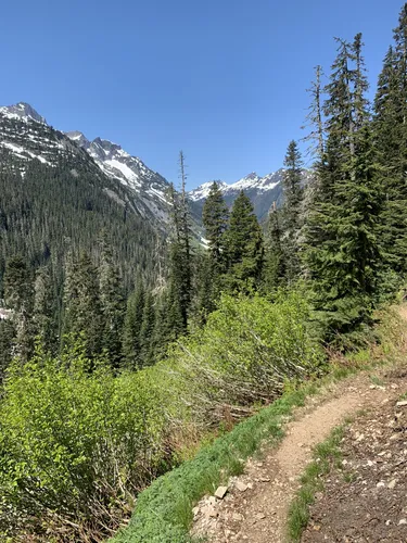 Best Waterfall Trails in Maple Falls | AllTrails