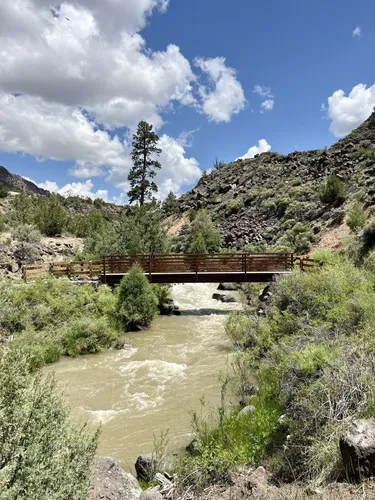 10 Best Kid Friendly Trails in Carson National Forest | AllTrails