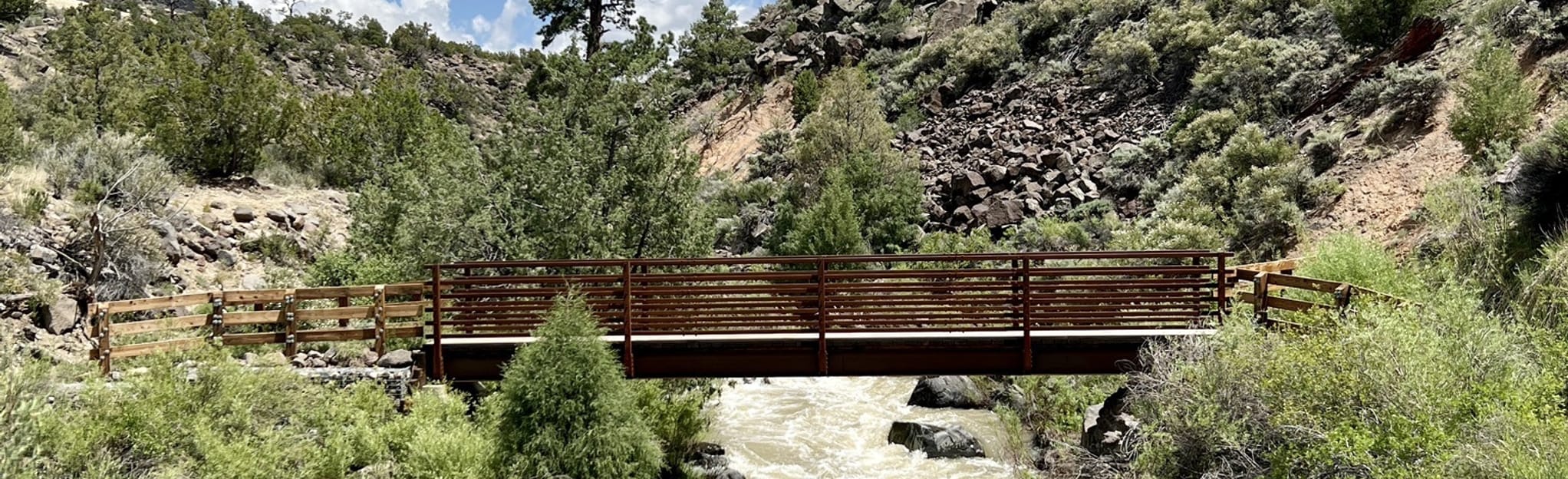 Cebolla Mesa, New Mexico - 145 Reviews, Map | AllTrails