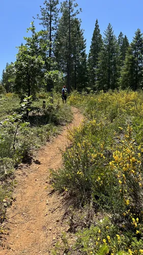 2023 Best River Trails in Georgetown | AllTrails