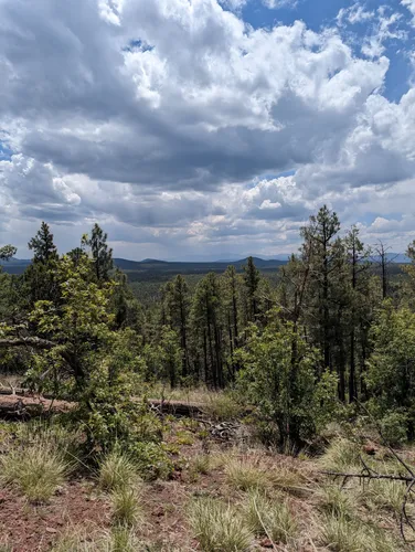 Best Hikes and Trails in Pinetop-Lakeside | AllTrails