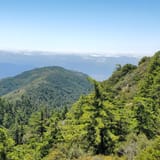 Agua Tibia Full Loop Trail, California - 223 Reviews, Map | AllTrails