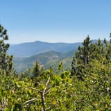 Agua Tibia Full Loop Trail, California - 223 Reviews, Map | AllTrails