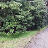 Cardinia Aqueduct Trail, Victoria, Australia - 274 Reviews, Map | AllTrails