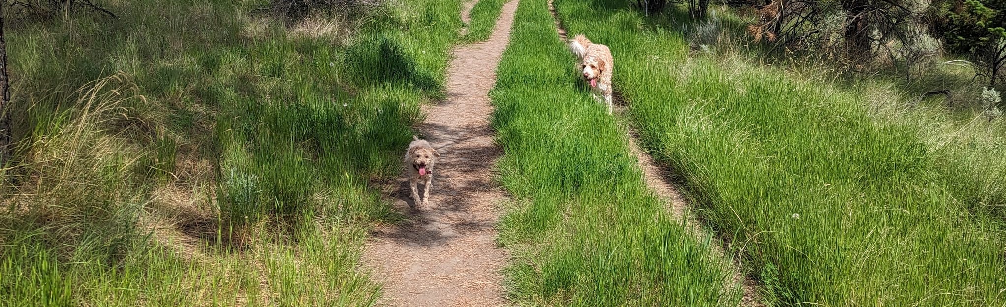 Reservoir, Doc Findlay and Kinnickinnick Loop: 45 Reviews, Map ...