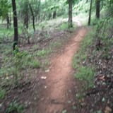 Spring Creek Trail, Oklahoma - 786 Reviews, Map | AllTrails