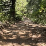 East Ridge Trail to West Ridge Trail Loop from Skyline Blvd, California ...