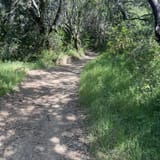 East Ridge Trail to West Ridge Trail Loop from Skyline Blvd, California ...
