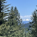Tire Mountain Trail, Oregon - 149 Reviews, Map | AllTrails
