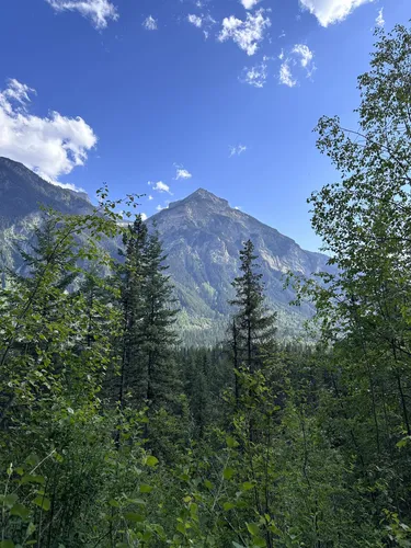 10 Best Hikes and Trails in Mount Robson Provincial Park | AllTrails