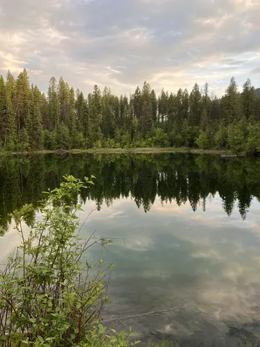 Best Hikes and Trails in Premier Lake Provincial Park | AllTrails