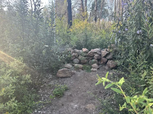 Best Hikes and Trails in Bonny Doon Ecological Reserve | AllTrails