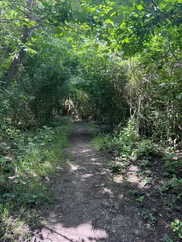 Best Hikes and Trails in Meridian State Park | AllTrails