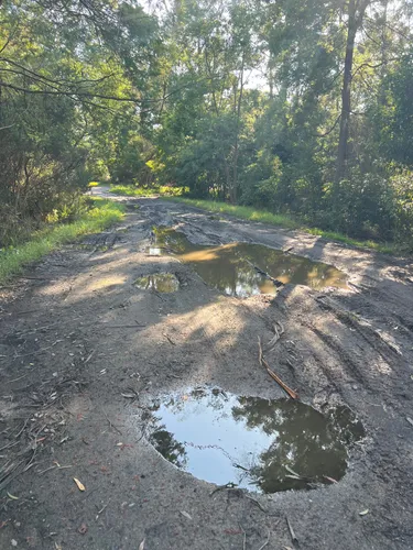 Best River Trails in Moe | AllTrails