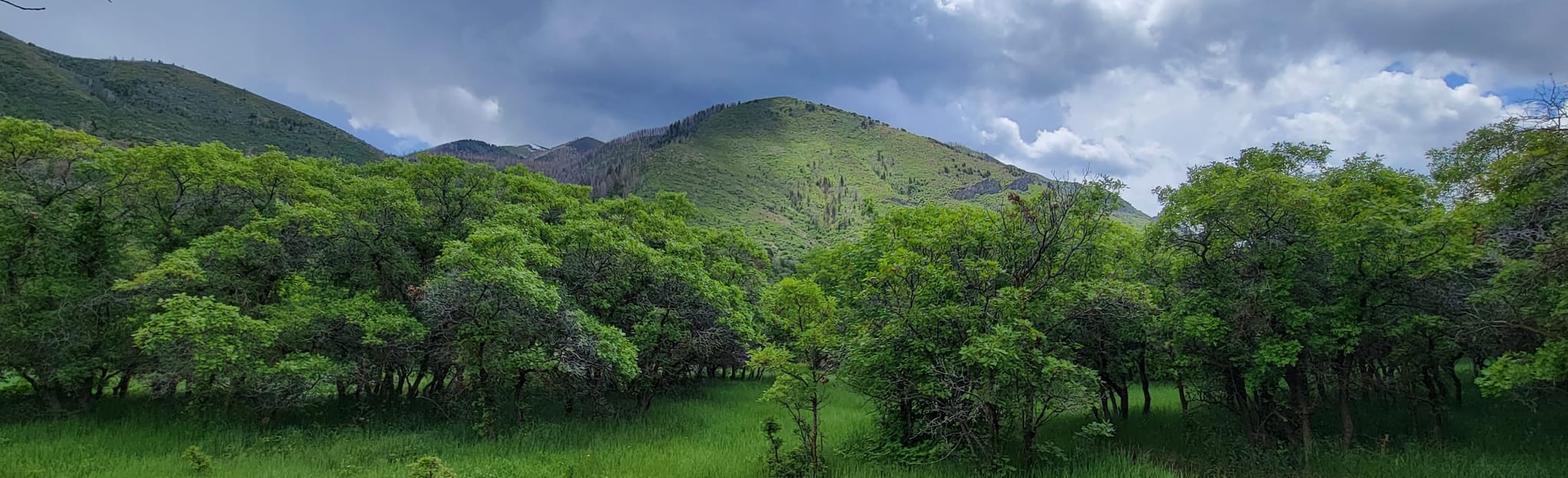 Forebay Recreation Area Loop: 125 Fotos - Utah | AllTrails