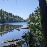 Lake Fenwick, Washington - 666 Reviews, Map | AllTrails