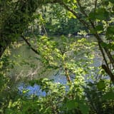 Lake Fenwick, Washington - 666 Reviews, Map | AllTrails