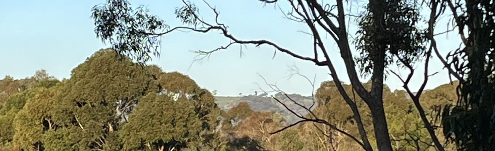 Colin Officer Flora Reserve, Victoria, Australia - 7 Reviews, Map ...