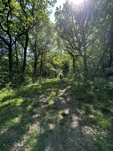 Best Hikes and Trails in Lower Woods Nature Reserve | AllTrails