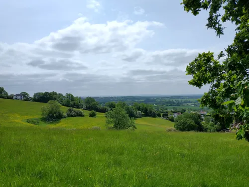10 Best Trails, Walks, and Paths in West Midlands | AllTrails