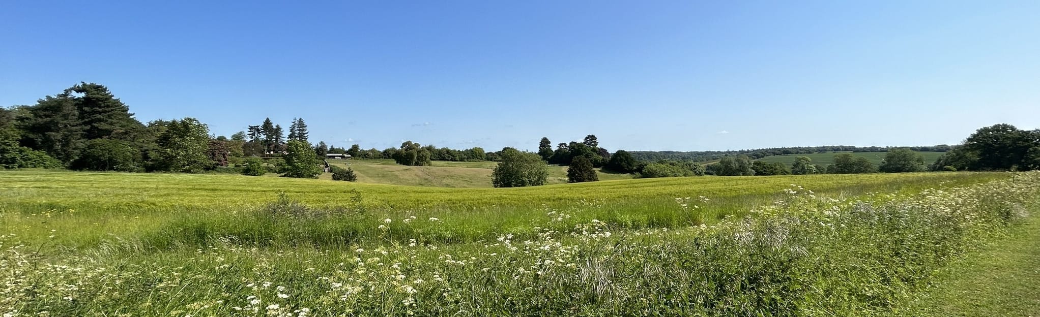 St Stephens Chapel and Bures Dragon View: 23 Reviews, Map - Suffolk ...