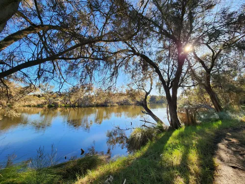 Best Hikes and Trails in Canning River Regional Park | AllTrails