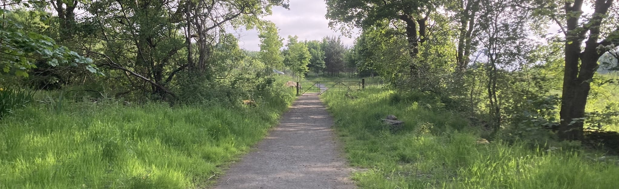 Cumbernauld Community Park, North Lanarkshire, Scotland - 16 Reviews ...